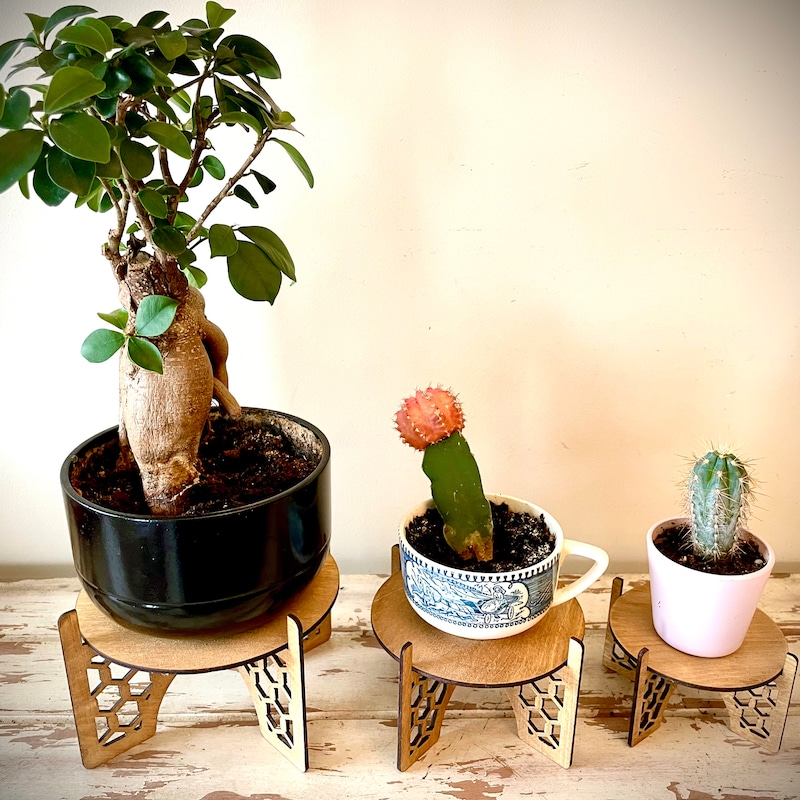 Indoor Plant Stand - Etsy New Zealand