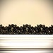 Floral Window and Door Trim / Molding Accent / Border Decoration ...