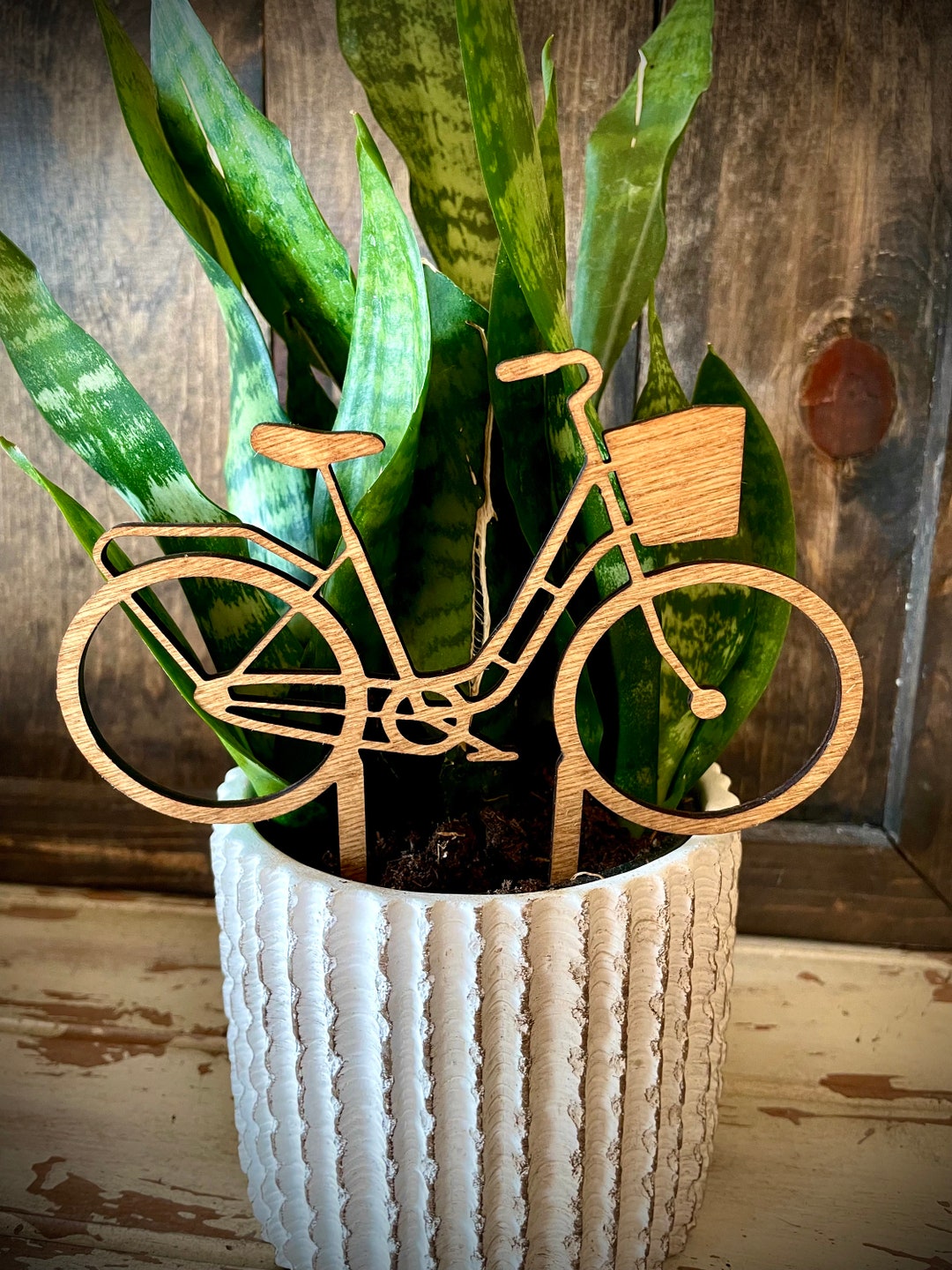 Indoor Intricate Bicycle Plant Trellis Available in Multiple Sizes and ...