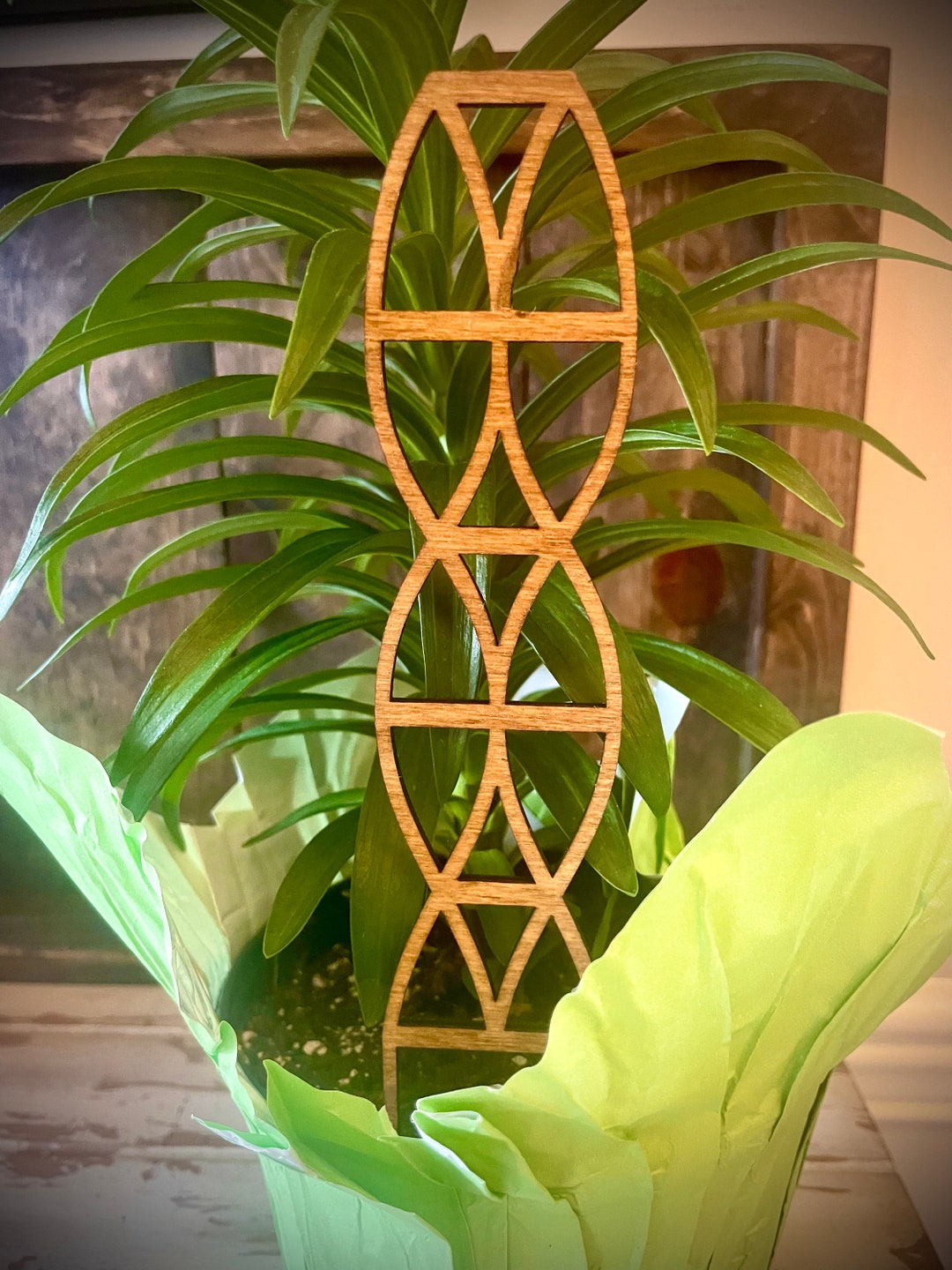 Indoor Boho Plant Trellis-helix / Dna Shapes Available in Multiple ...
