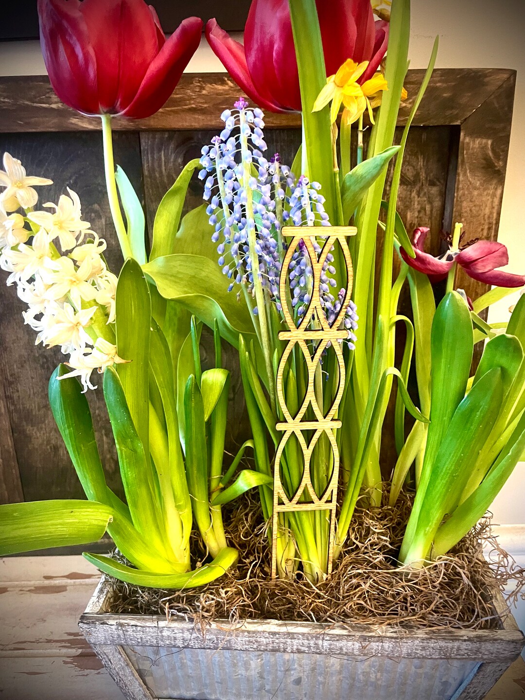 Indoor Boho Plant Trellis-fish Shape / Ellipse Available in Multiple ...