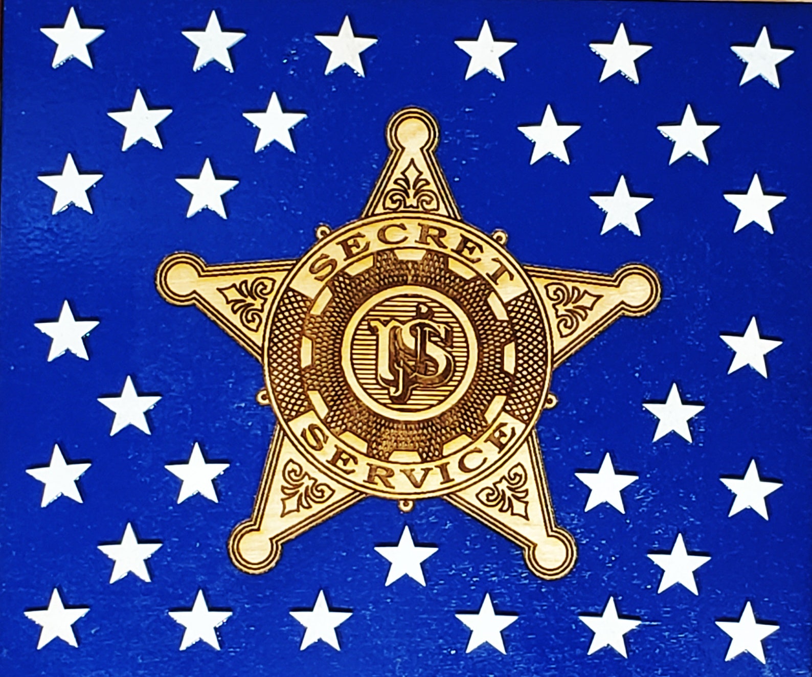 US Secret Service Challenge Coin Flag Display 36x20 inches | Etsy