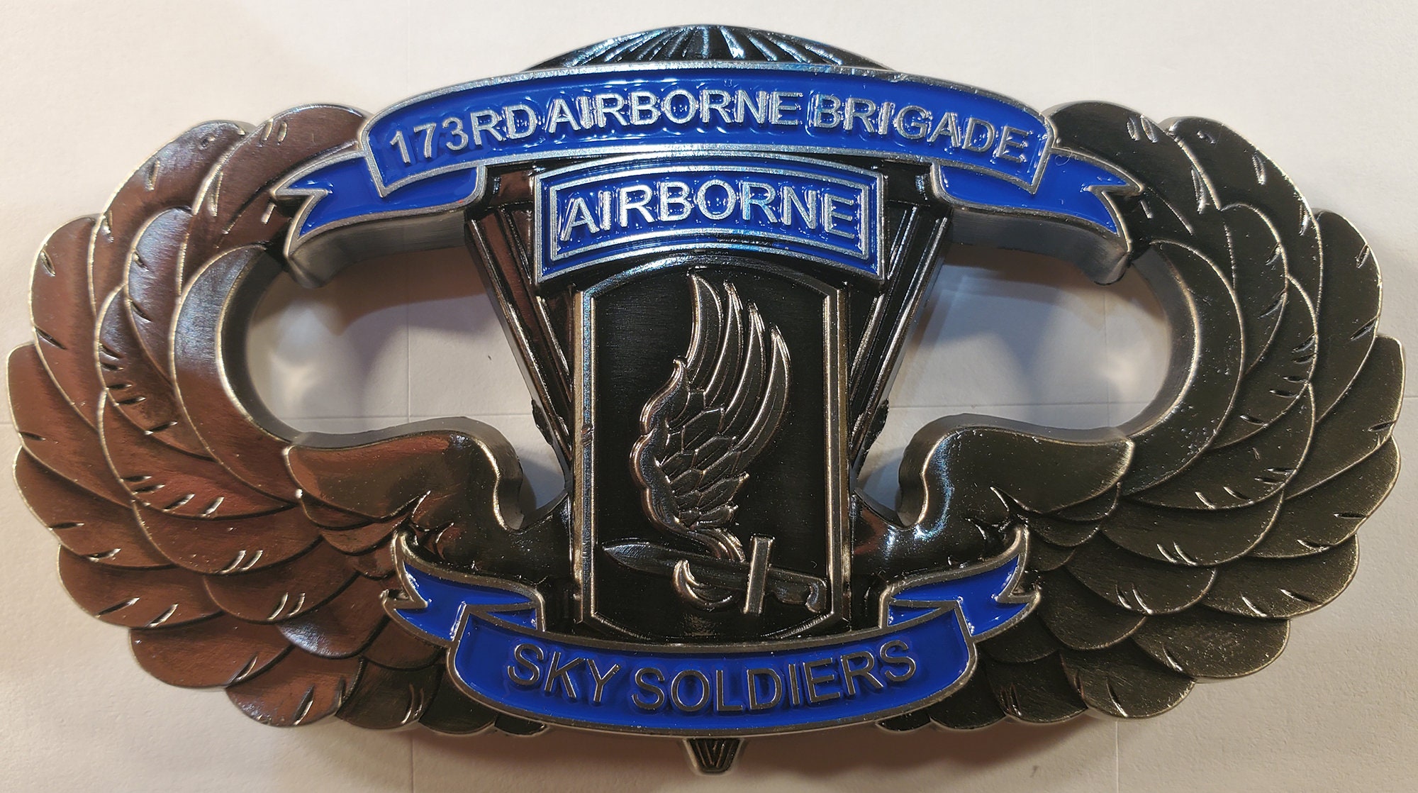 US Army 173rd Airborne Brigade sky Soldiers - Etsy