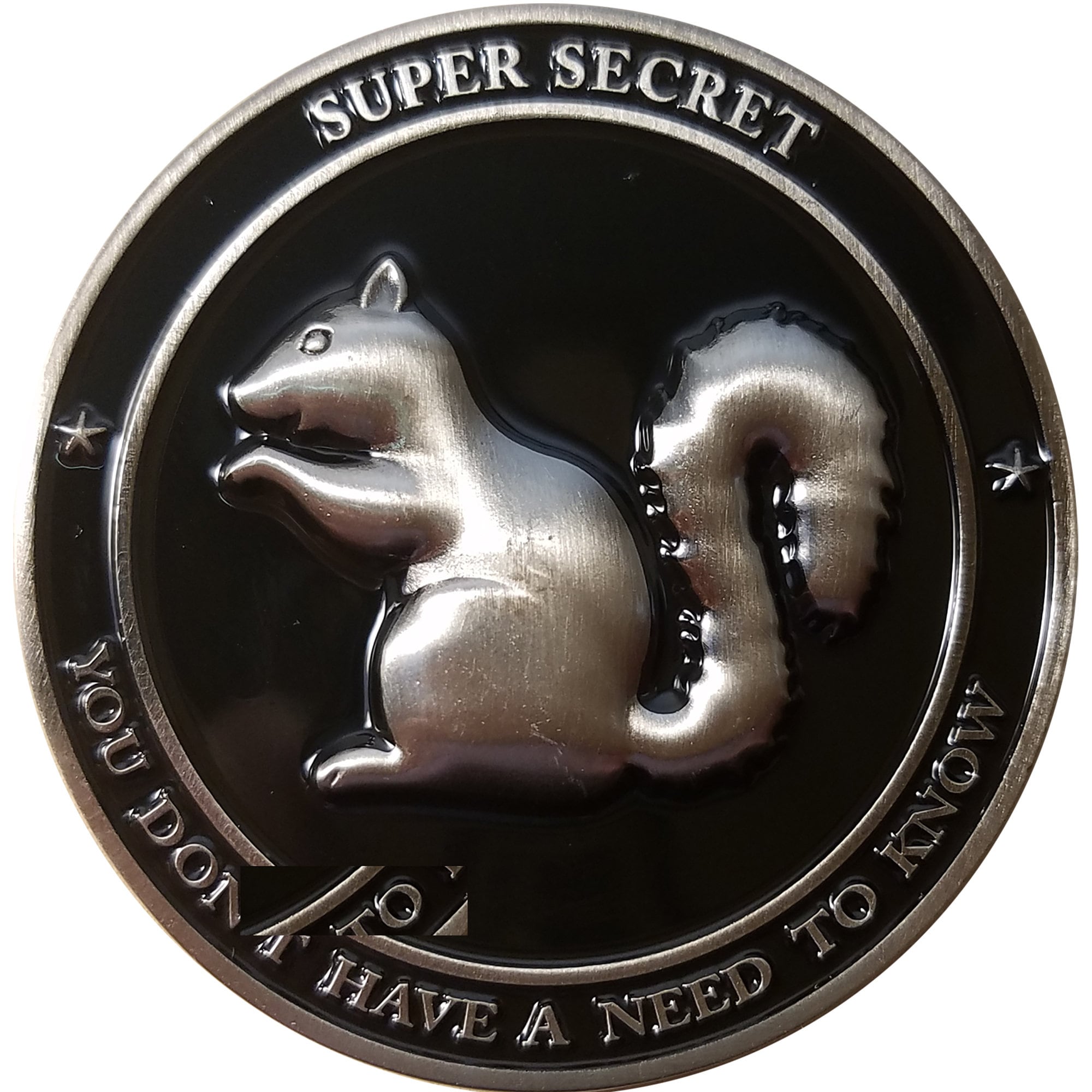 B-2 Spirit Bomber Got Stealth Secret Squirrel Challenge Coin | Etsy