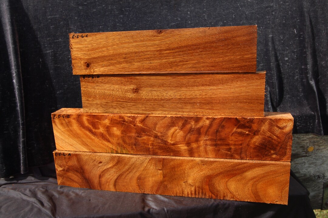 Hawaiian Curly Monkey Pod 4 Pc. Billets E-S-6 - Etsy