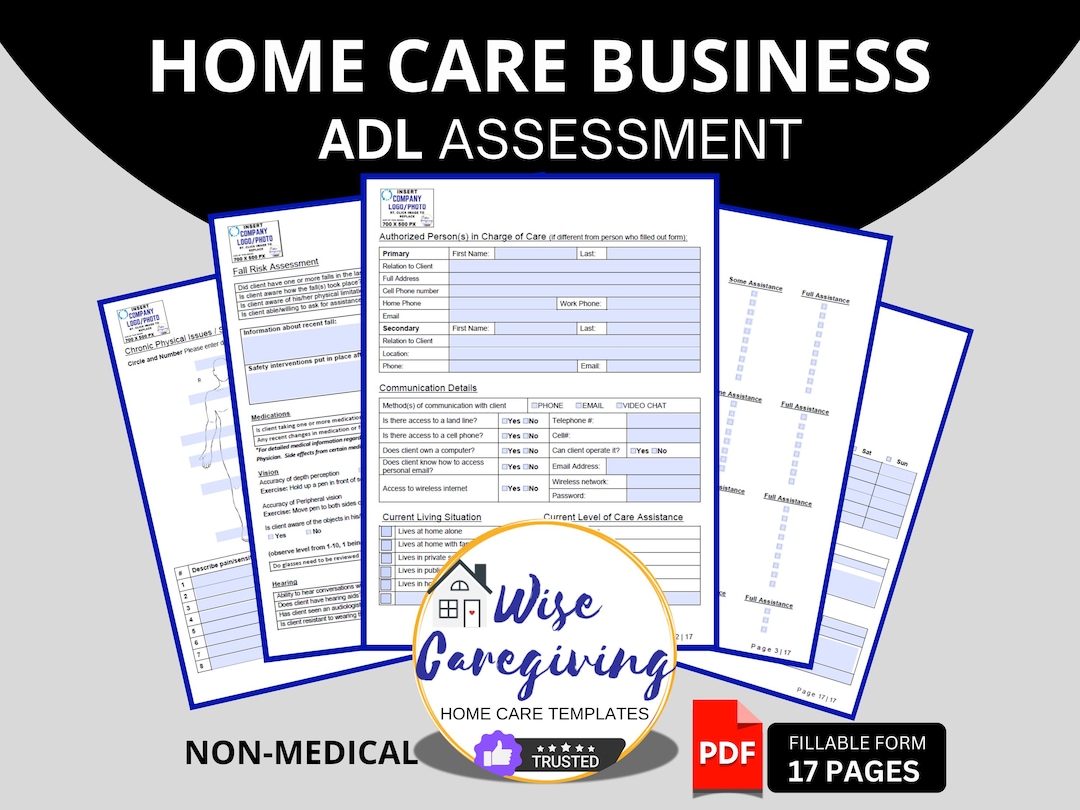 Home Care Assessment Fillable Form Template, Non Medical Agency ...