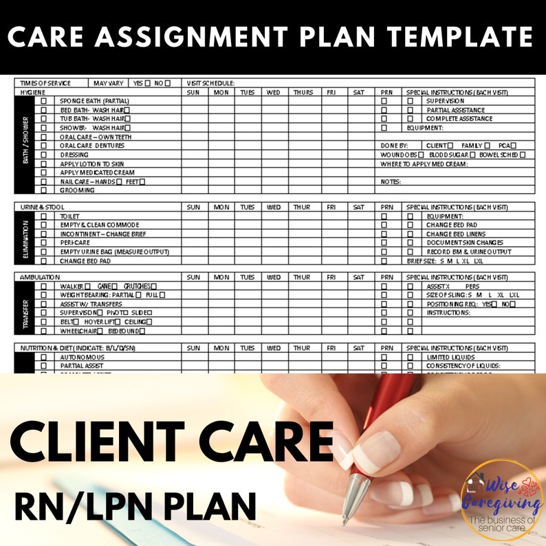 Personal Support Worker Care Plan Template, RN Form to Fill Out ...