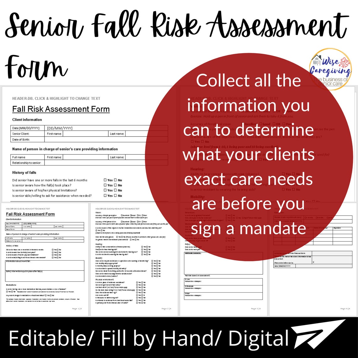 Fall Risk Assessment Form-Home Care Safety Professional | Etsy