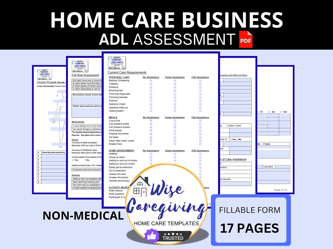 Home Care Client Intake Form: Fillable Assessment Template (PDF ...