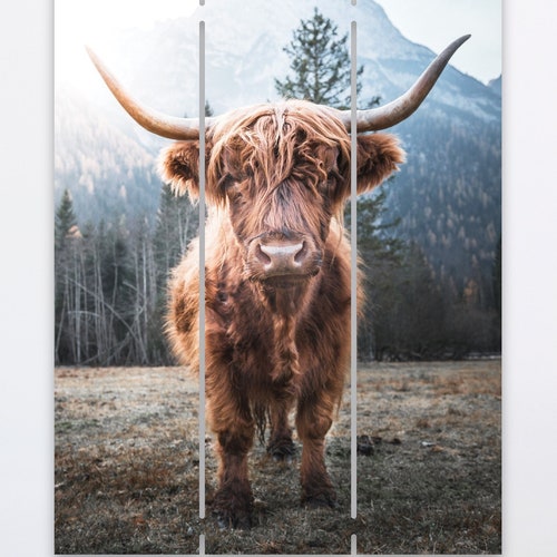 Highland Cow Canvas Print Modern Farmhouse Wall Decor - Etsy