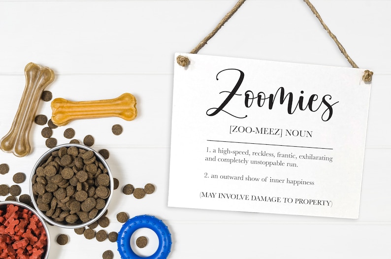 Zoomies — Pet Definition Print on Canvas, Farmhouse Decor, Pet Wall ...