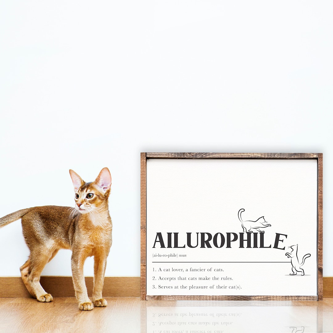Ailurophile Definition Funny Cat Owner Signs Cat Lover - Etsy