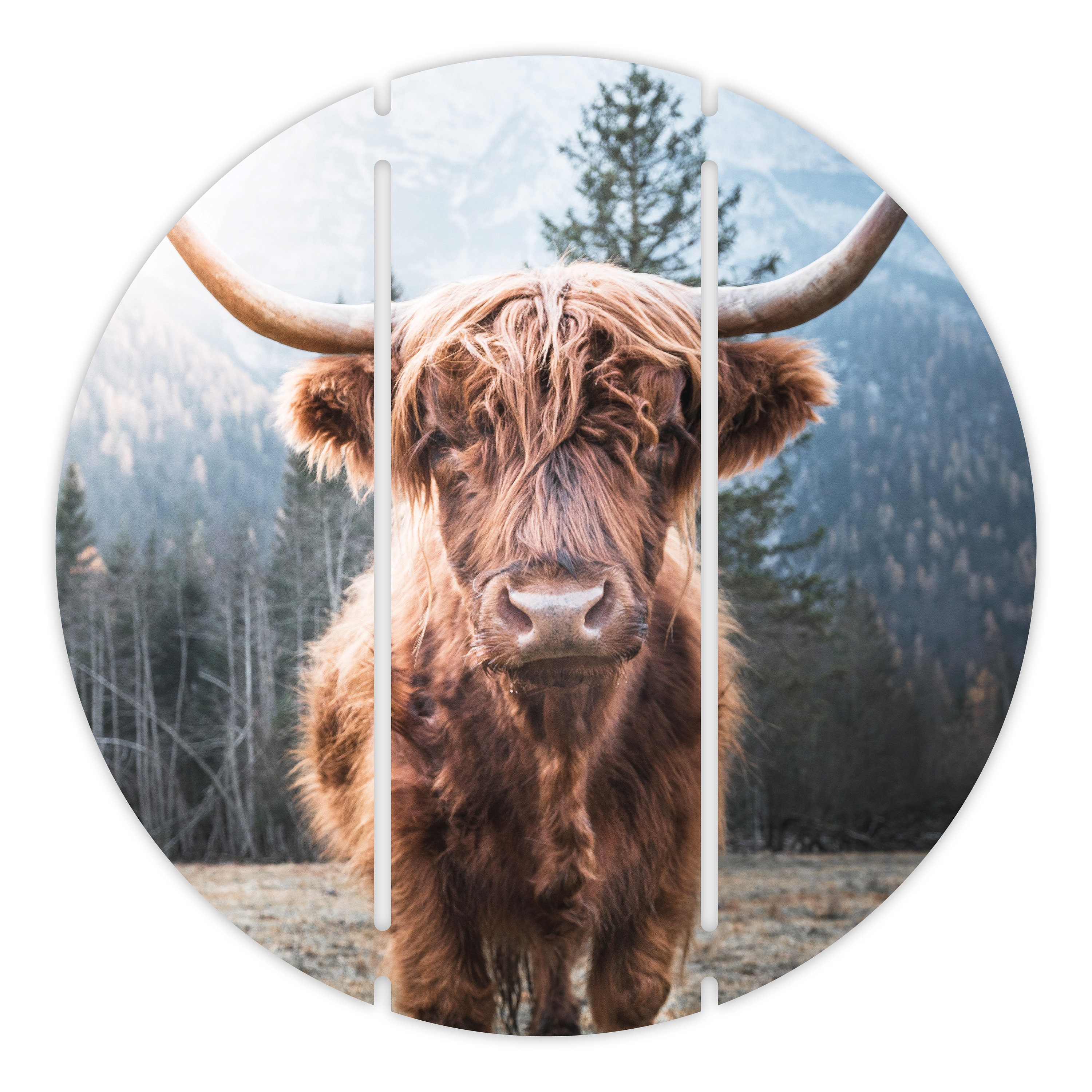 Highland Cow on Hanging Pallet Cute Cow Home Decor Farmhouse | Etsy