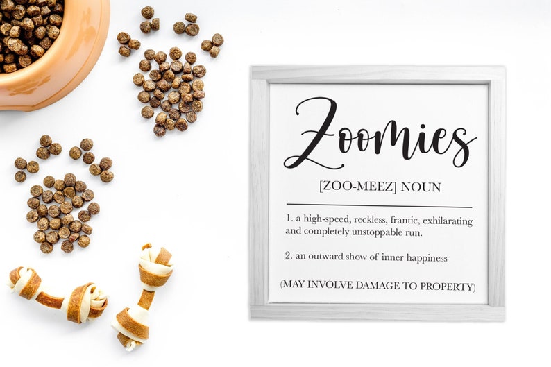 Zoomies — Pet Definition Print on Canvas, Farmhouse Decor, Pet Wall ...