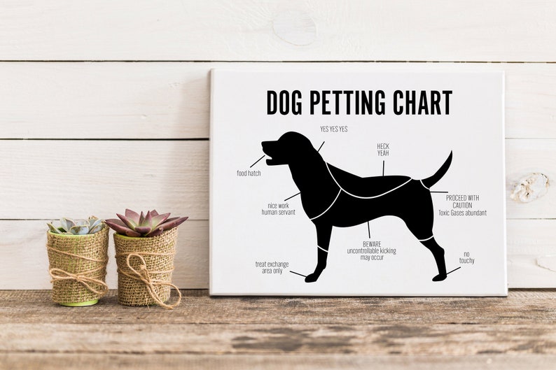 Dog Petting Chart - Print on Canvas, Funny Dog Print, Dog Wall Art ...