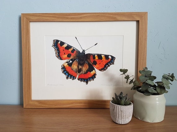 Small Tortoiseshell Butterfly Hand finished limited edition etching ...