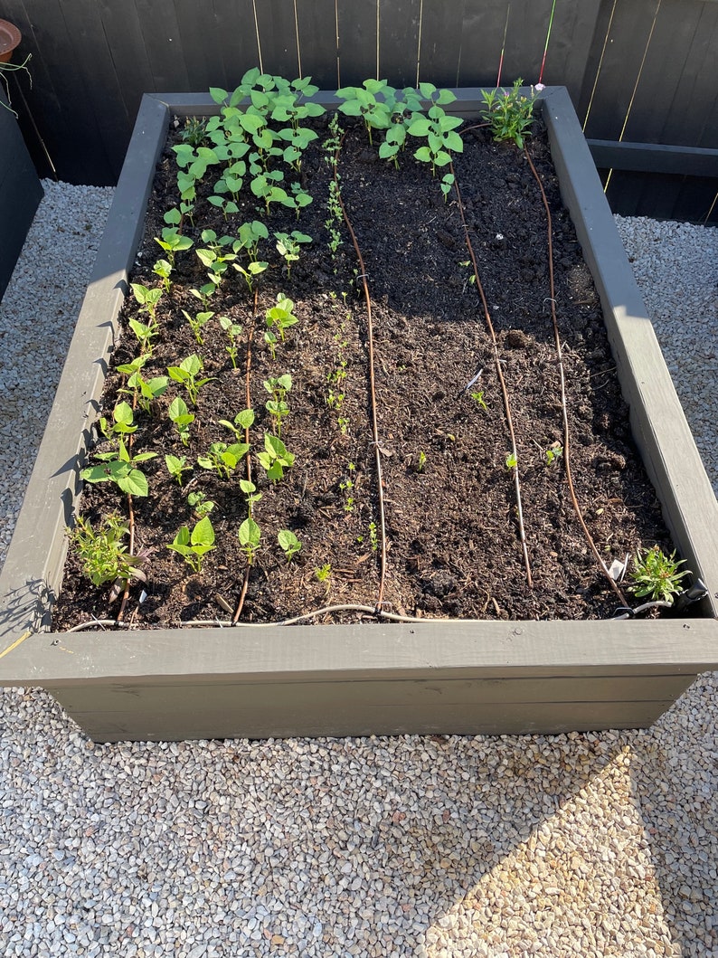 4ft X 6ft Raised Garden Bed Plans PDF Download DIY - Etsy