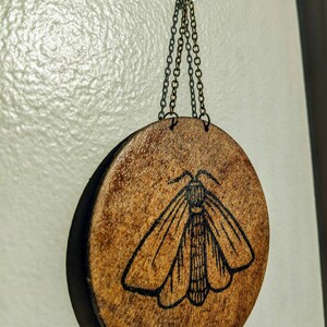 Wall Hanging • Linocut Moth • Wood Wall Art - Etsy