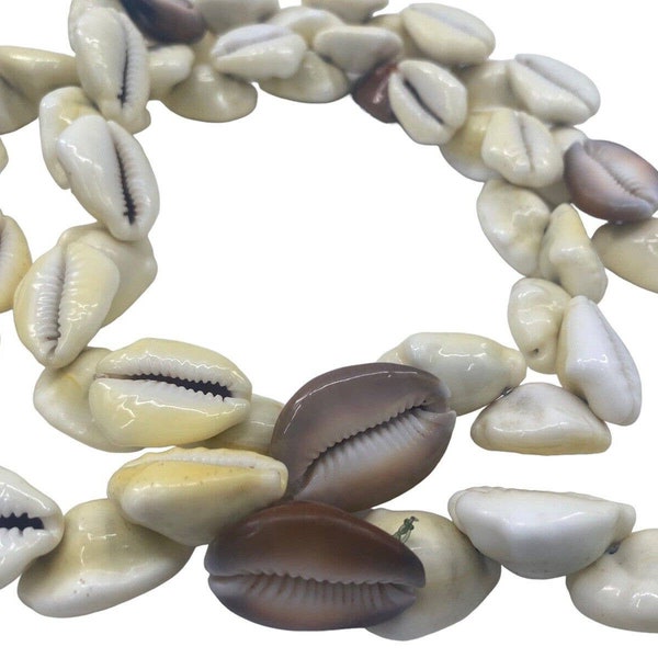 Cowrie Shell Necklace Etsy