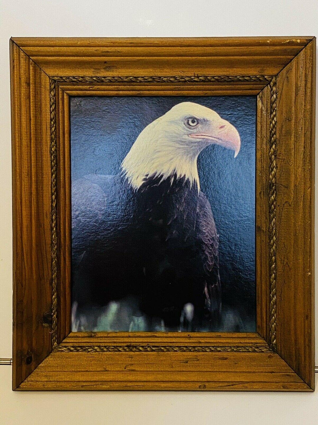 American Bald Eagle Print Art Decor in Rustic Vintage Wood Frame 13.5"x ...