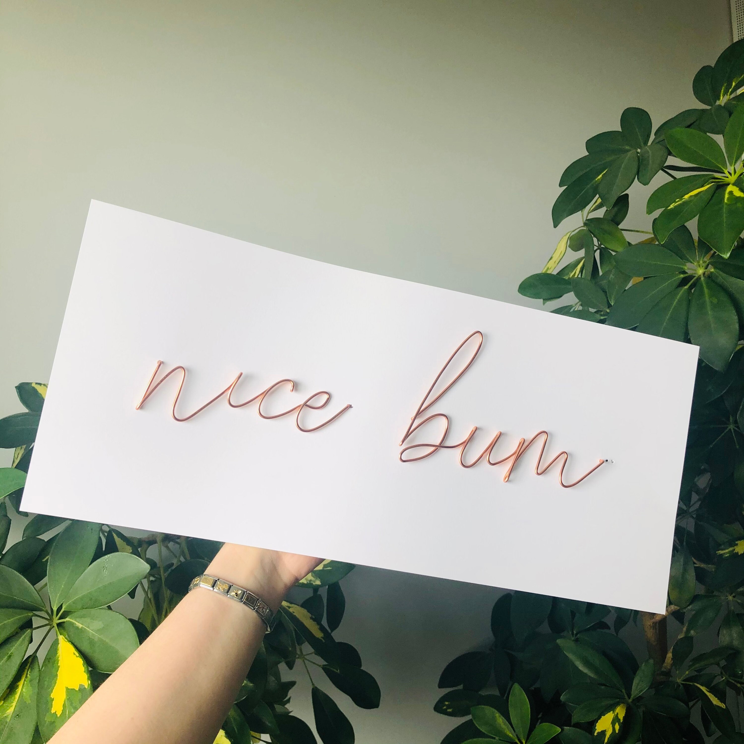 Nice Bum Sign Wire Words Bathroom Cloakroom Living - Etsy UK