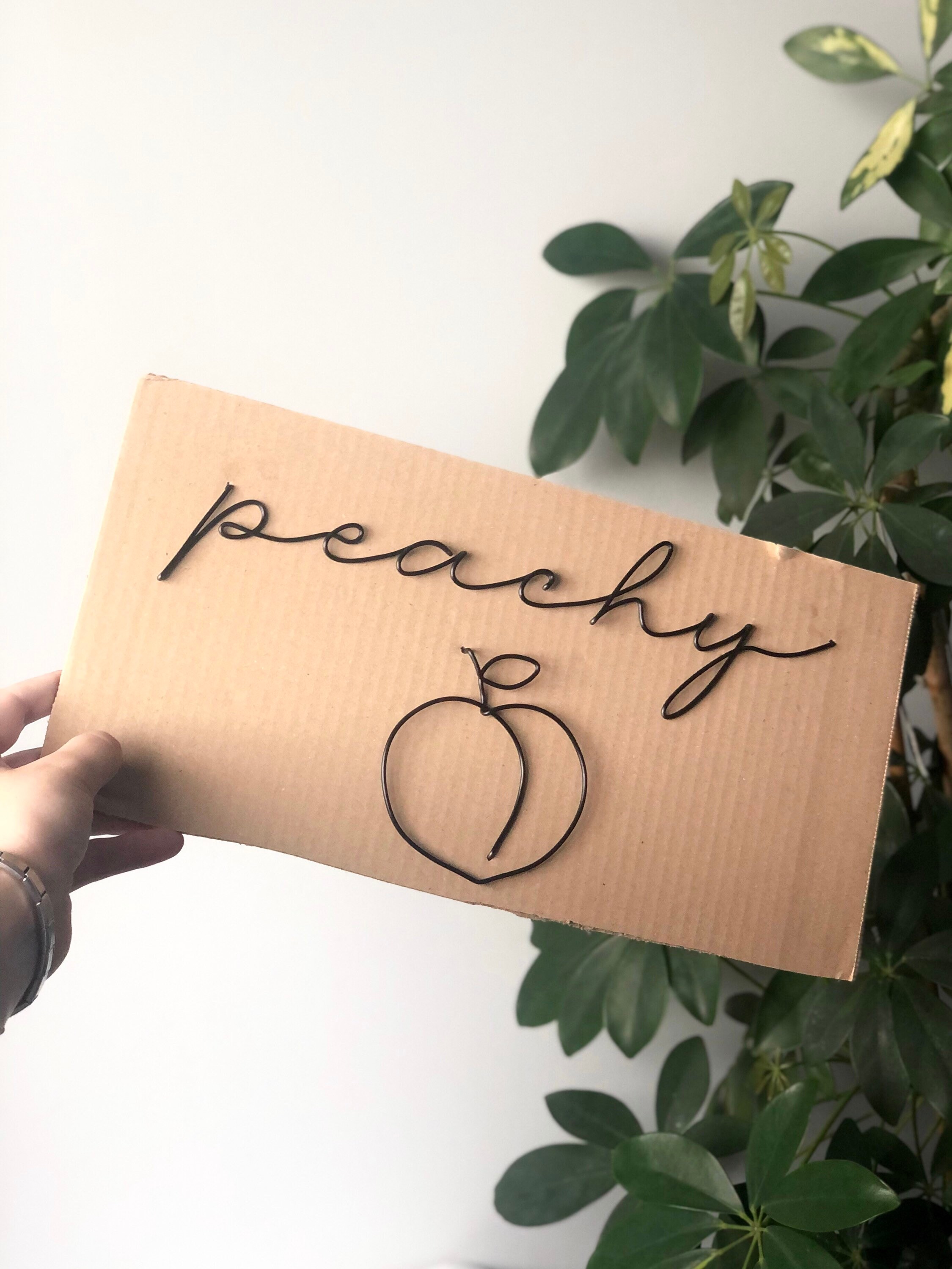 Peachy Bum Sign Wire Words Bathroom Cloakroom Living - Etsy