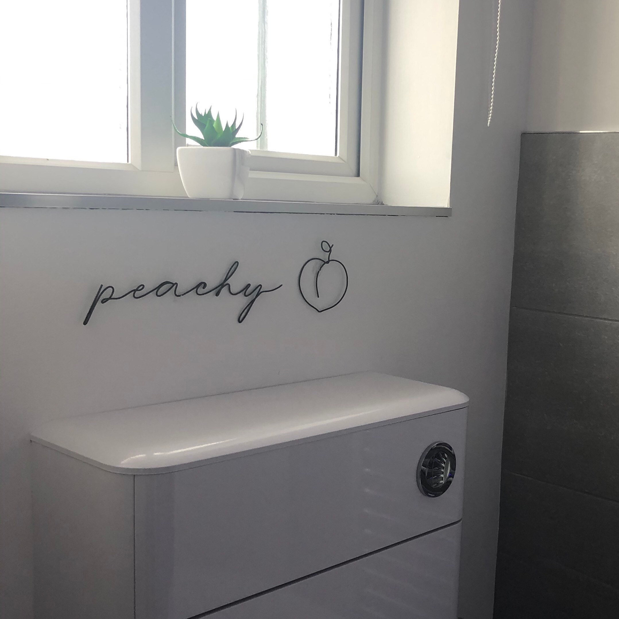 Peachy Bum Sign Wire Words Bathroom Cloakroom Living - Etsy