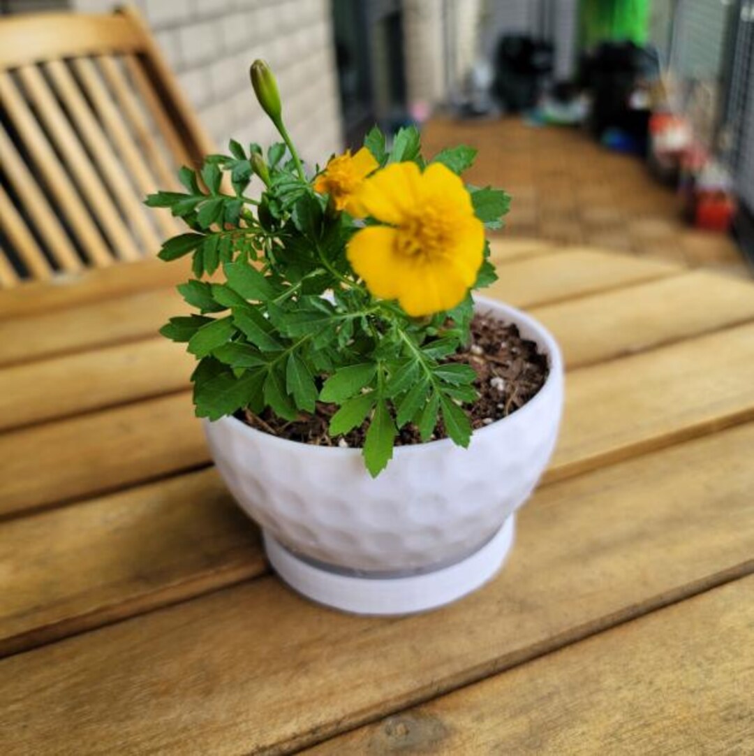Golf Ball Planter Pot - 3D Print File With Drainage, Instant Download ...