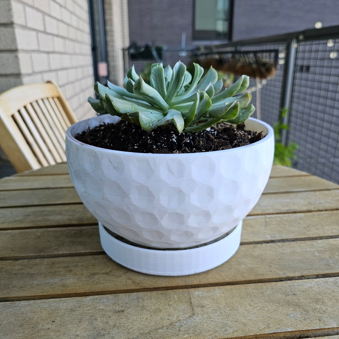Medium Sized Golf Ball Themed Planter With Drainage - Etsy