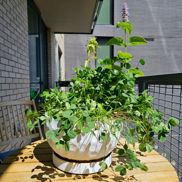 Large Planter - Etsy