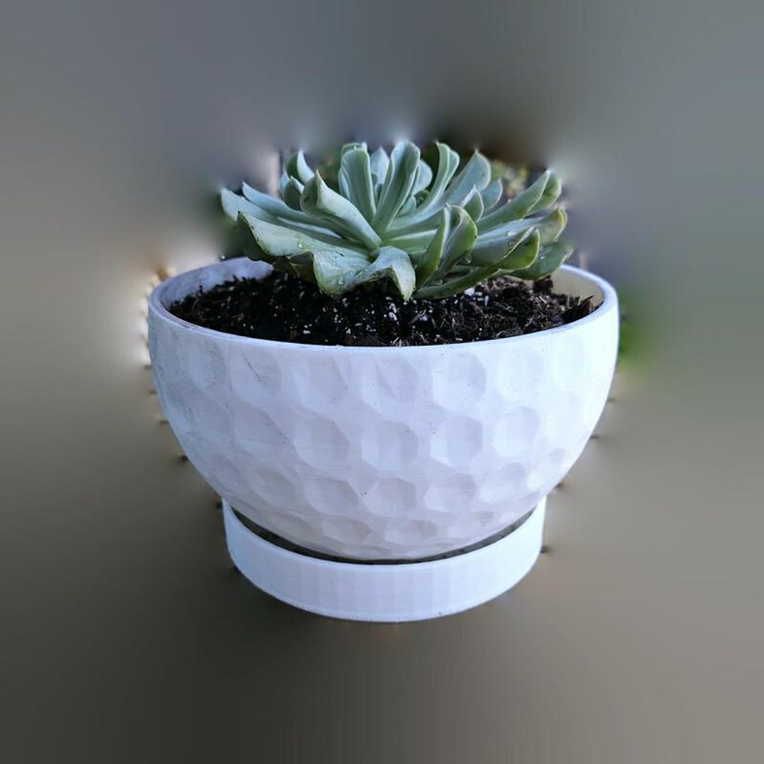 Medium Sized Golf Ball Themed Planter With Drainage - Etsy