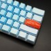 Salmon Sushi Keycaps Handmade Resin Custom Artisan - Etsy Canada
