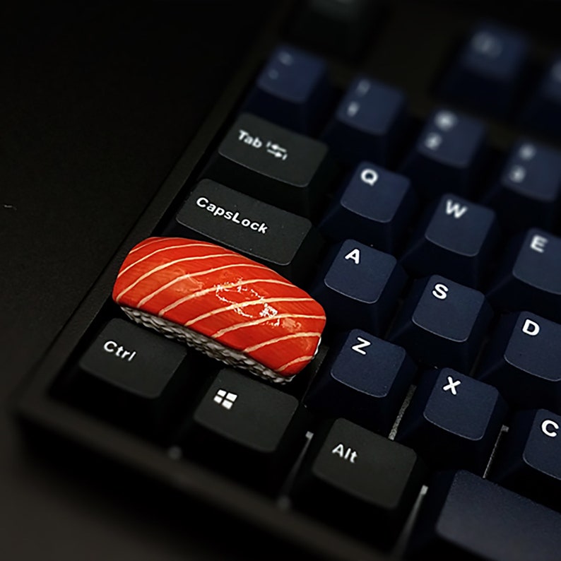 Salmon Sushi Keycaps Handmade Resin Custom Artisan - Etsy Canada