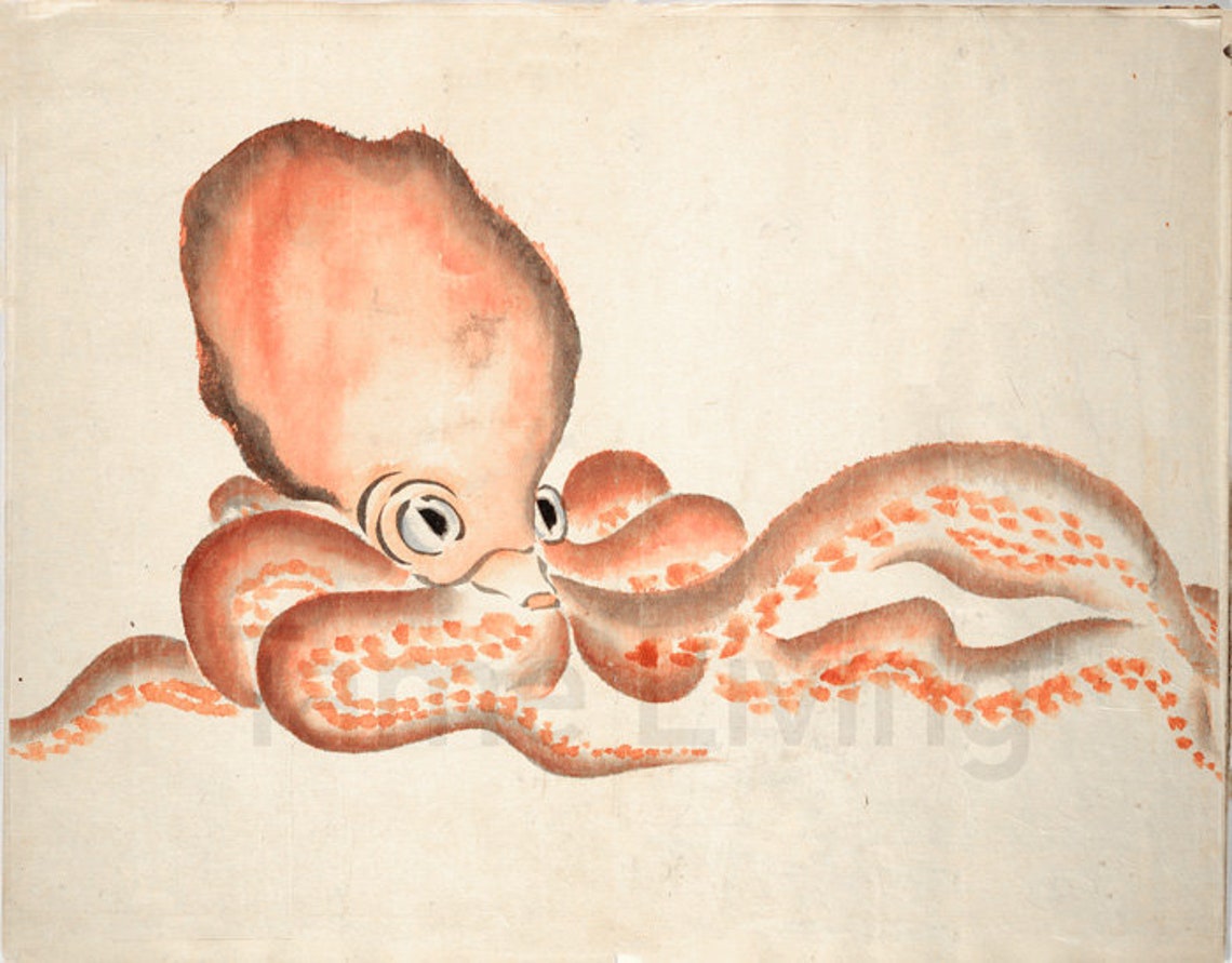 Japanese Art Print Octopus, Practice Sketch Drawing, Ink on Paper, 1870 ...