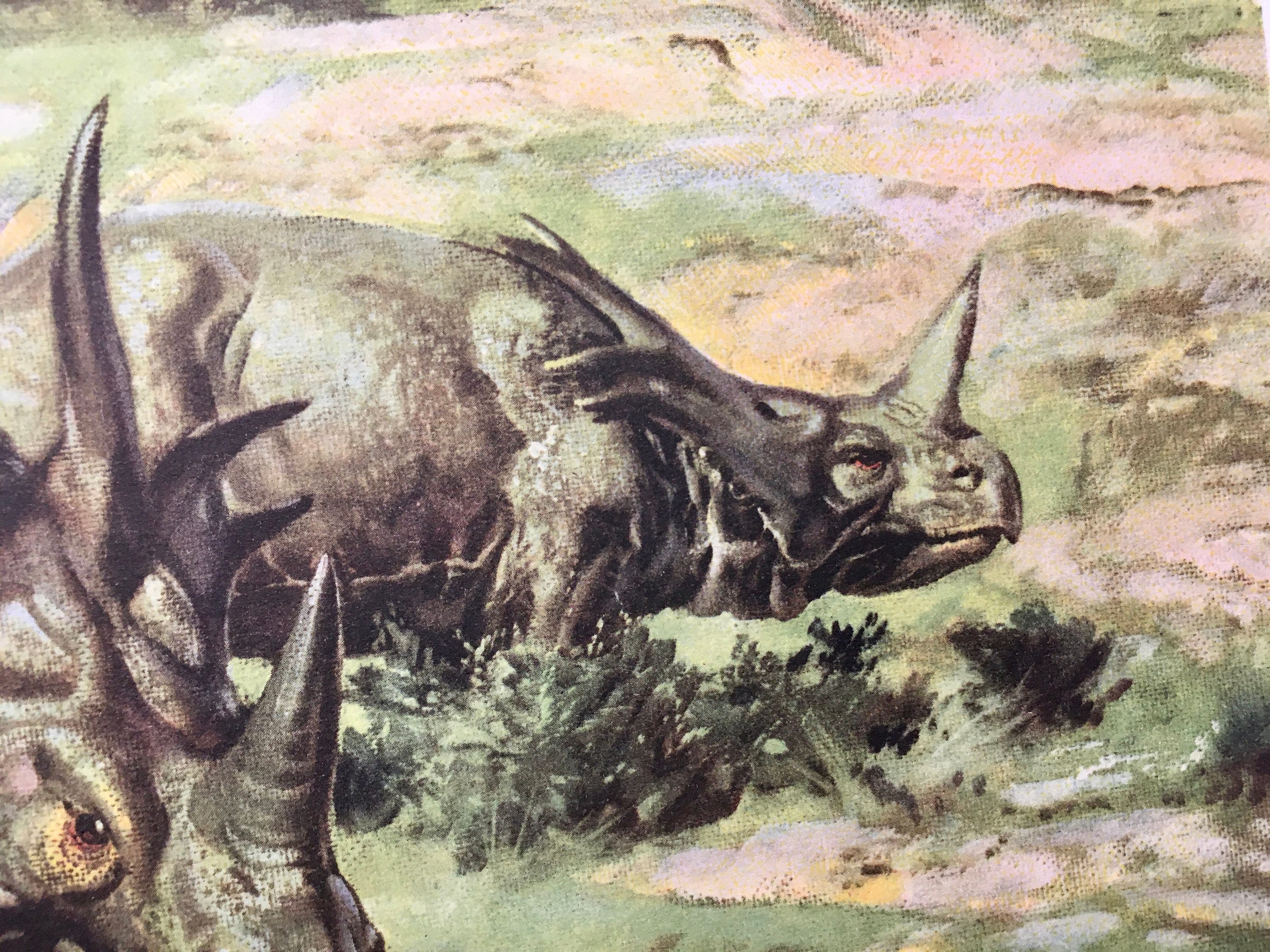 Original Vintage 1964 Print. Book Illustration N31 by Zdenek Burian ...