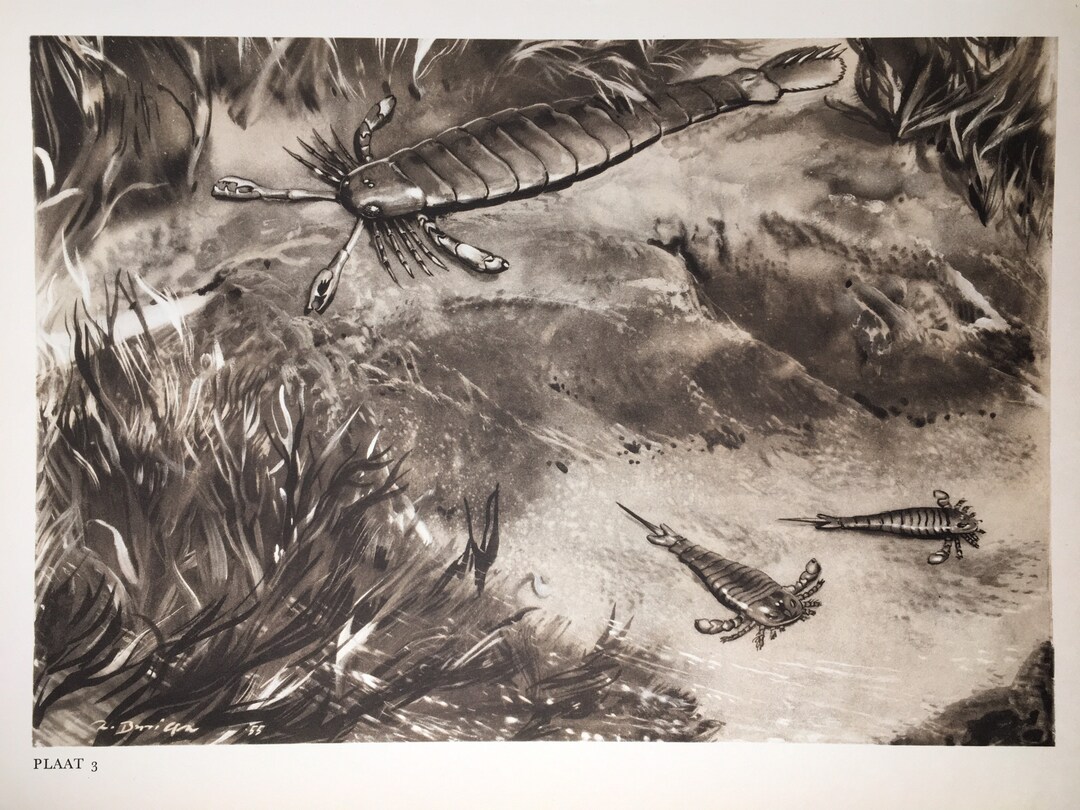 Original Vintage 1964 Print Book Illustration by Zdenek Burian ...