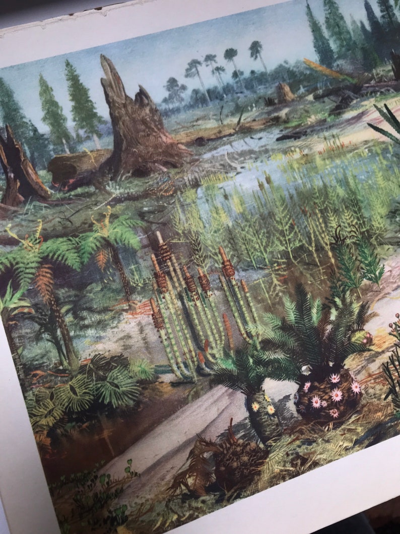 Mezozoic Landscape N14 Original Vintage 1964 Print. Book Illustration ...