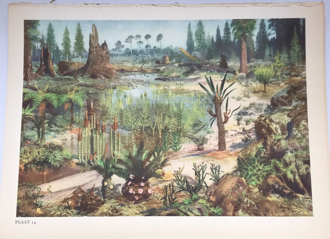 Mezozoic Landscape N14 Original Vintage 1964 Print. Book Illustration ...