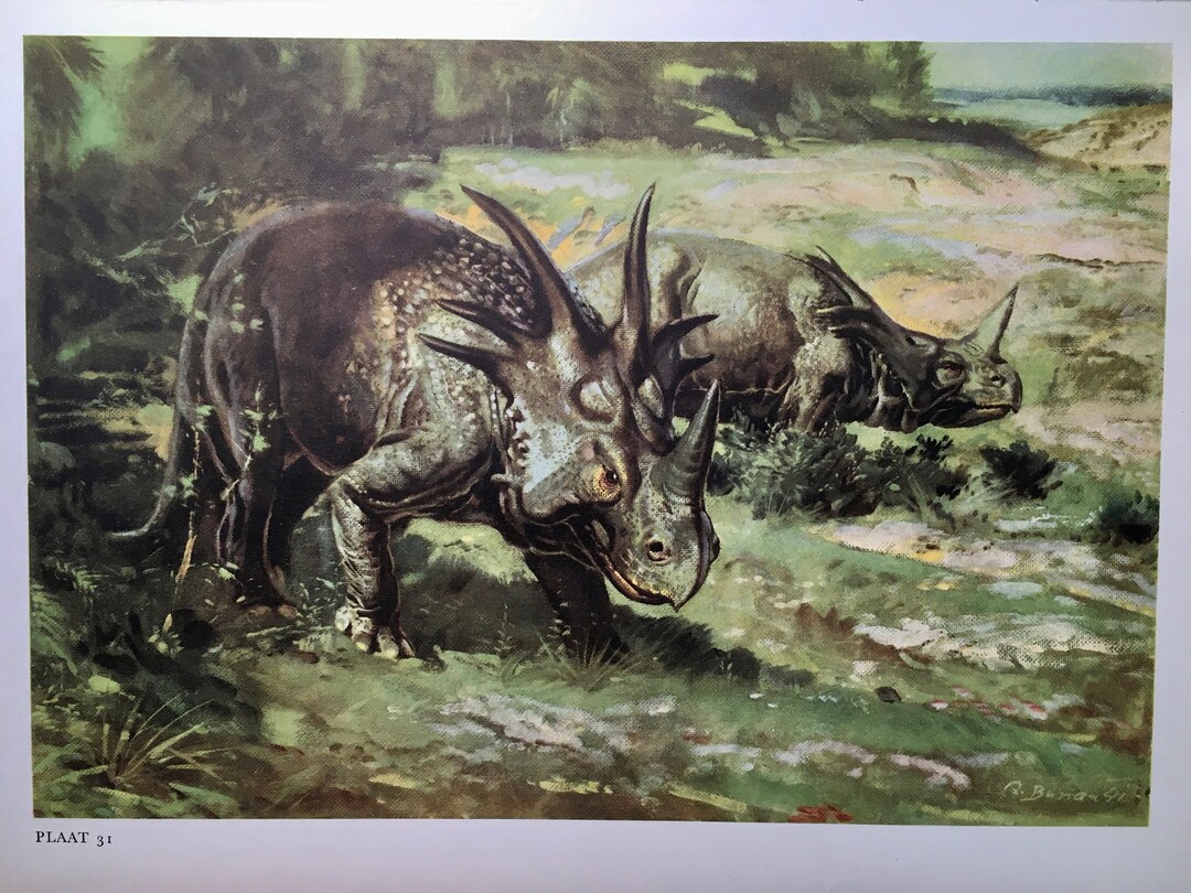 Original Vintage 1964 Print. Book Illustration N31 by Zdenek Burian ...