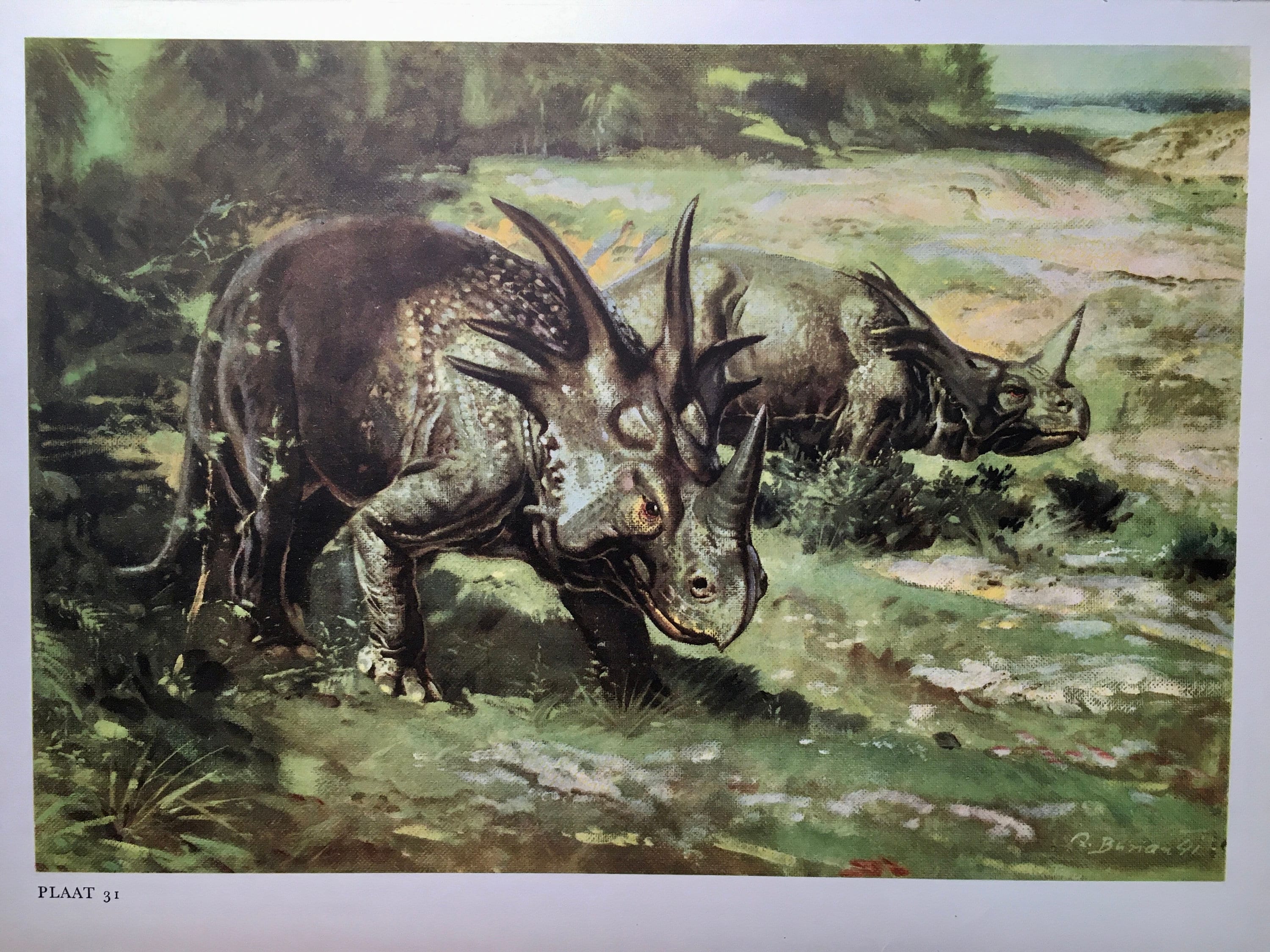 Original Vintage 1964 Print. Book Illustration N31 by Zdenek Burian ...
