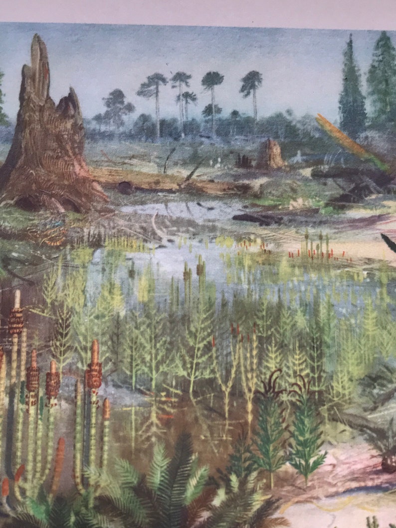 Mezozoic Landscape N14 Original Vintage 1964 Print. Book Illustration ...