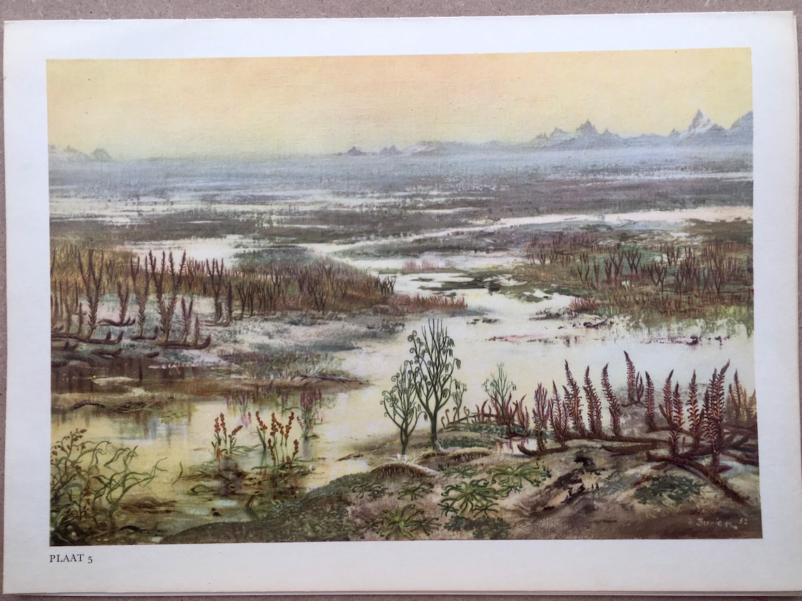 Devonian Landscape Original Vintage 1964 Print. Book Illustration by ...