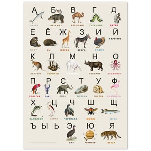 Russian Illustrated Alphabet, Vintage Animal Illustrations Cyrillic ...