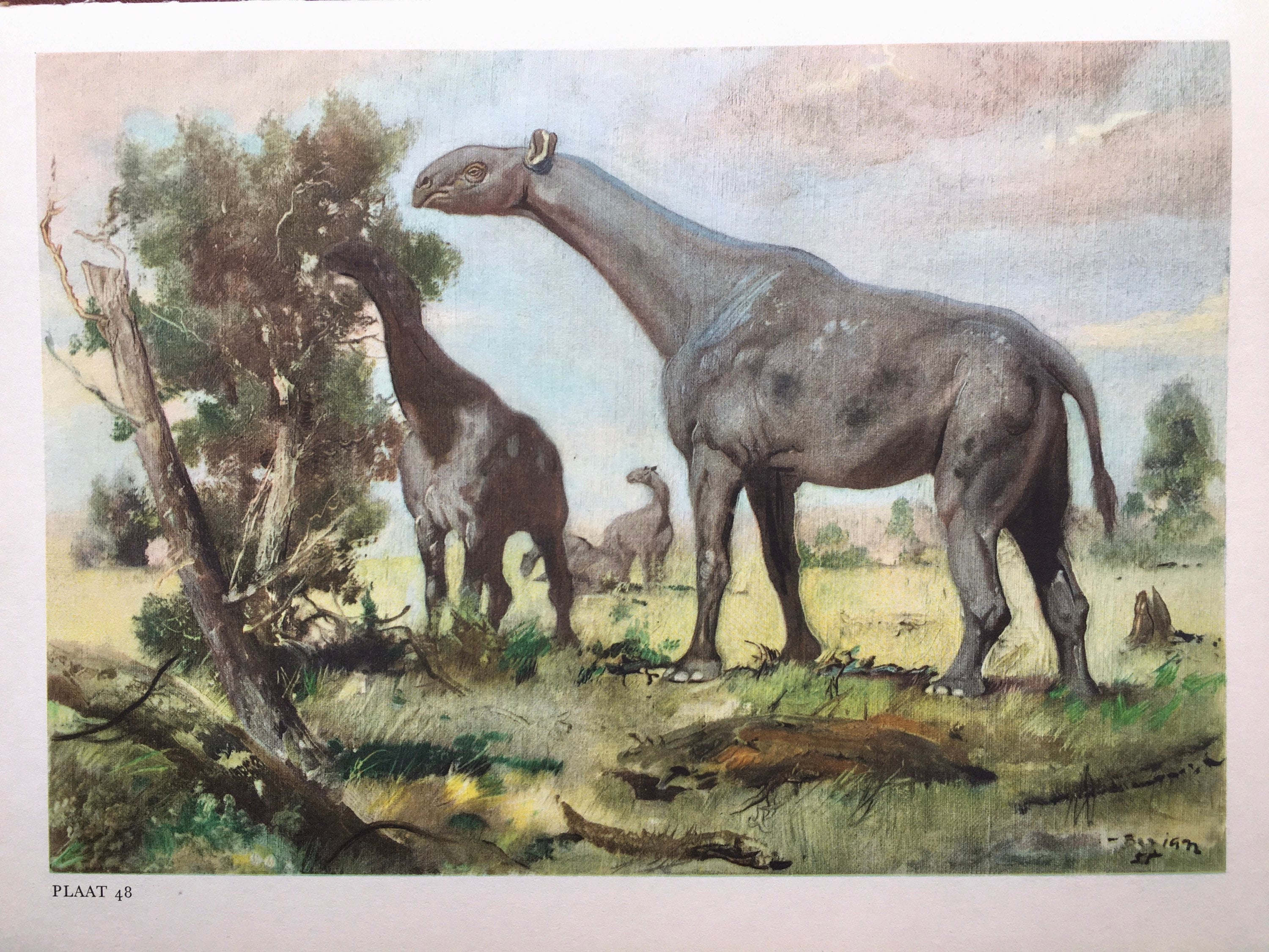 Indricotherium Cake