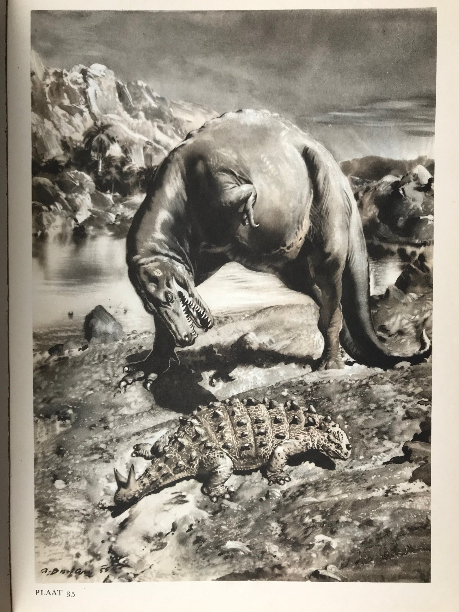 Gorgosaurus and Scolosaurus. Original Vintage 1964 Print. Book - Etsy