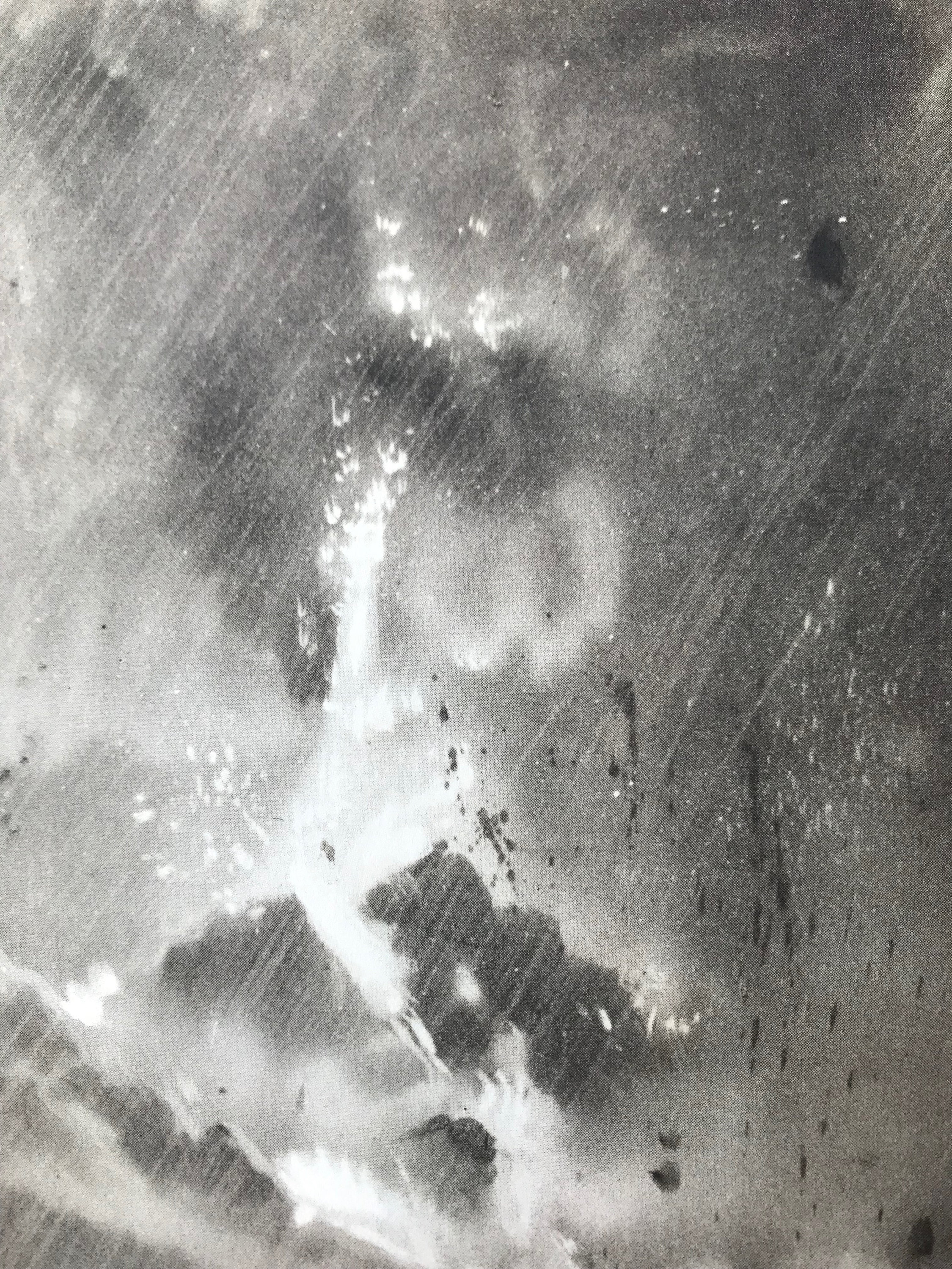 Brontotherium - Original Vintage 1964 Print. Book Illustration by ...