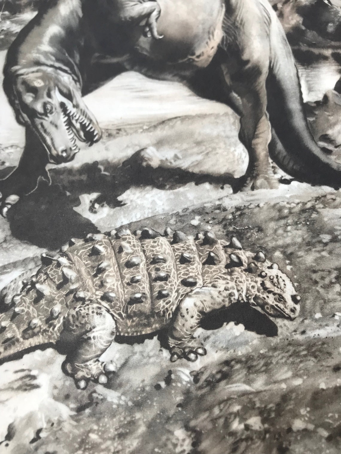 Gorgosaurus and Scolosaurus. Original Vintage 1964 Print. Book - Etsy