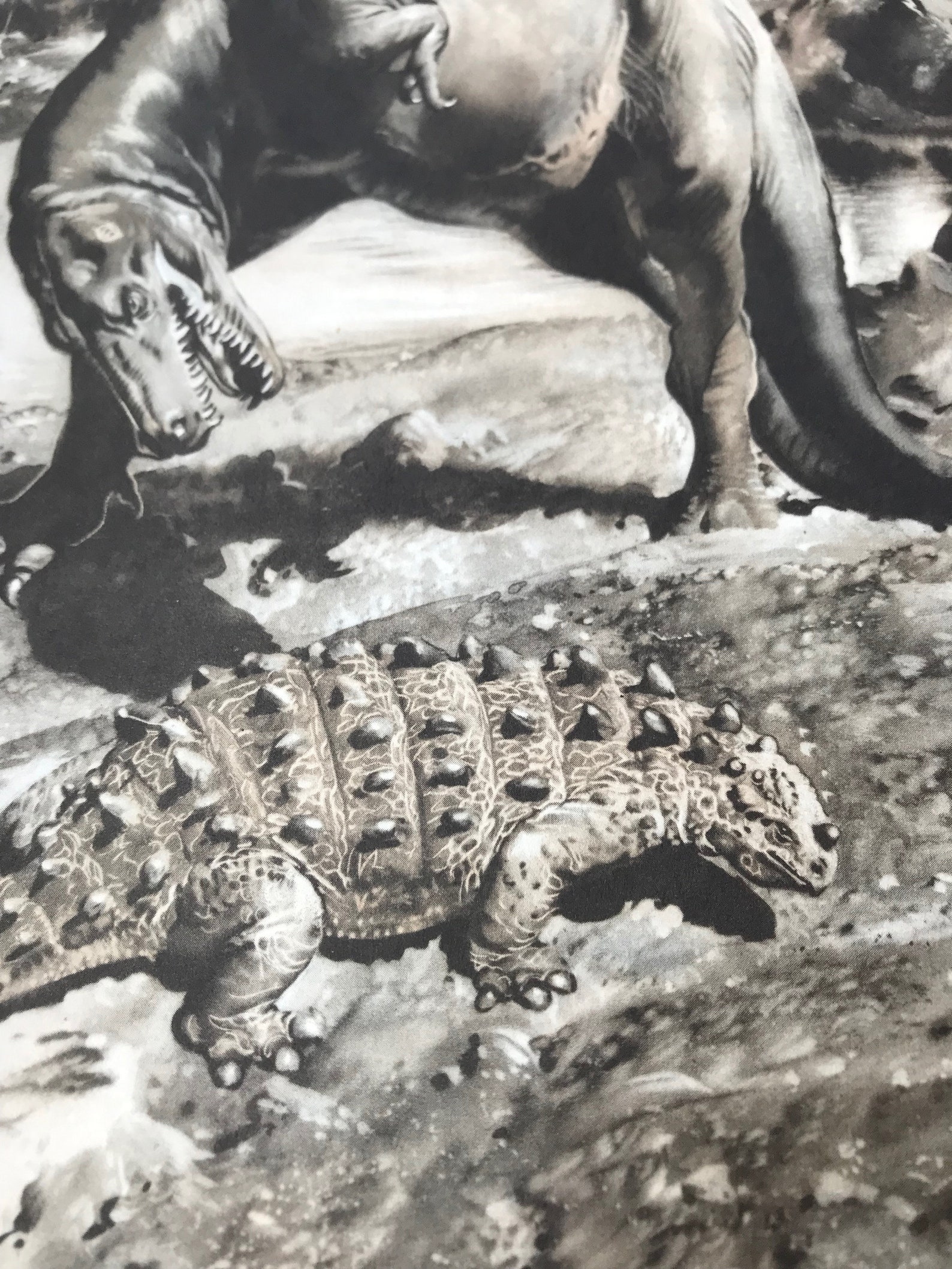 Gorgosaurus and Scolosaurus. Original Vintage 1964 Print. Book - Etsy