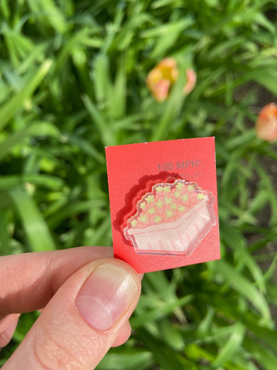 Strawberry Carton Pin Strawberry Pin Strawberry Basket Pin - Etsy