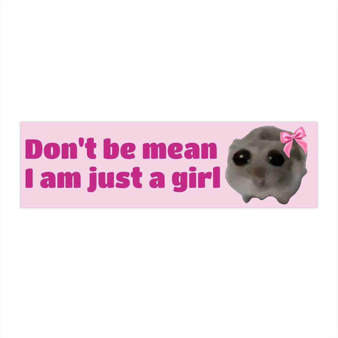 Sad Hamster Bumper Sticker - Etsy